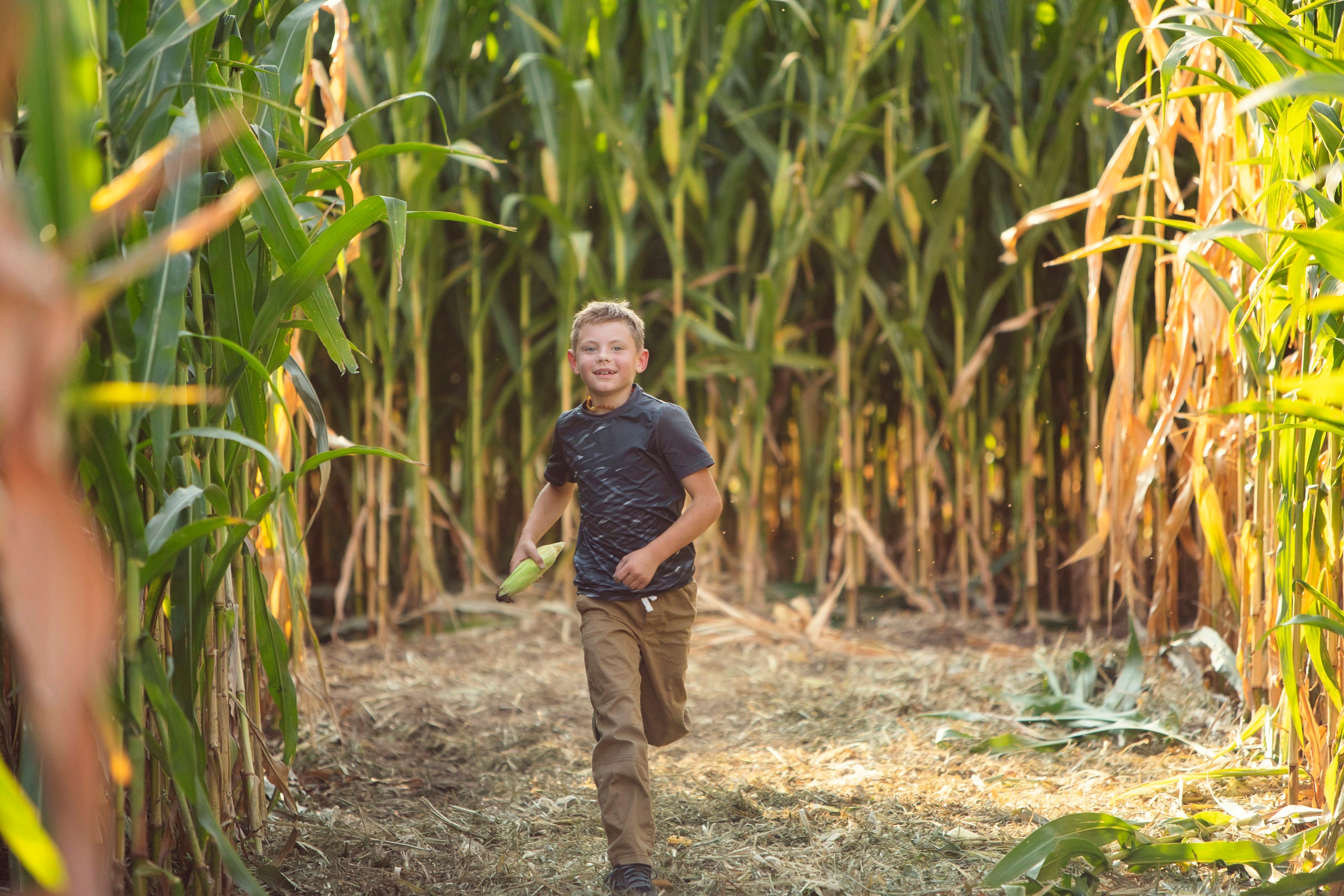 A General Admission Ticket 3+ Years | ECHO CORN MAZE